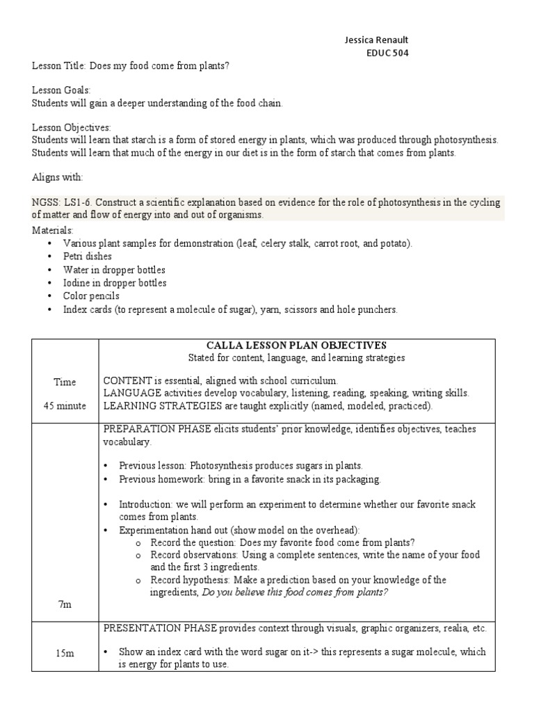 Educ 504 Calla Lesson Plan 2 | PDF | Lesson Plan | Experiment