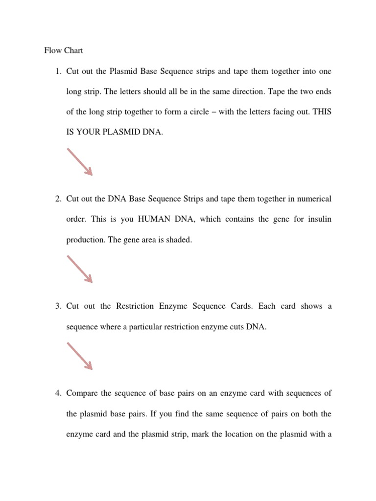 Flow Chart | Download Free PDF | Plasmid | Dna