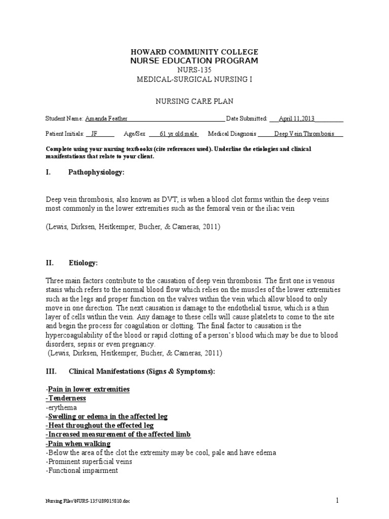 DVT Care Plan | PDF | Medicine | Health Care