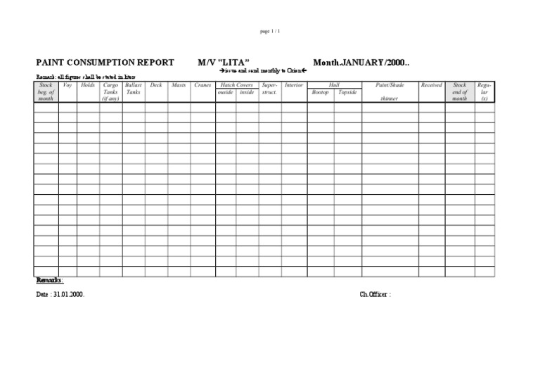 Paint Consumption Report M/V "Lita" Month - JANUARY/2000. | PDF