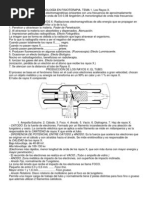 Signo del Perrito Escocés en Radiología | PDF | Vértebra | Medicina