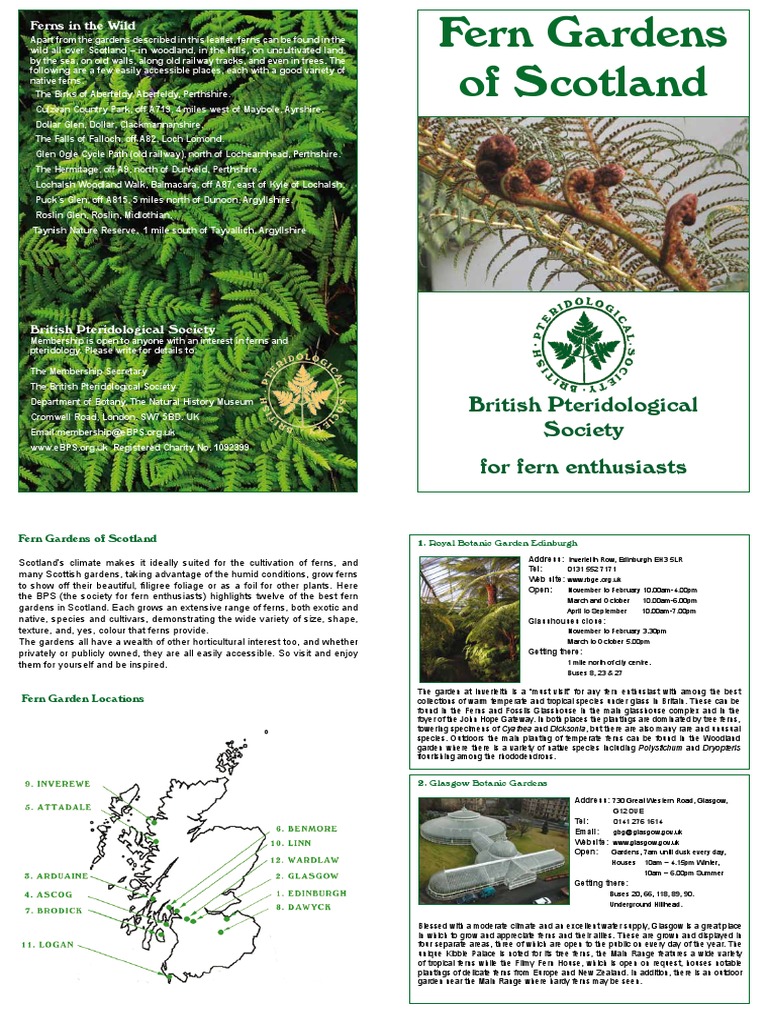 Ferns of Scotland | PDF | Fern | Environmental Design