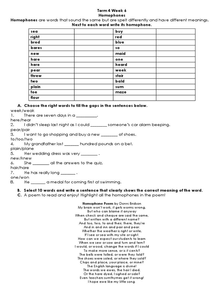 Homophones Activities and Poem | PDF | Language Arts & Discipline