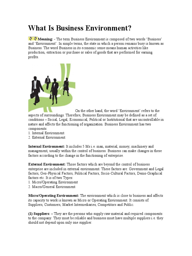 Business Environment Overview | PDF | Natural Environment | Supply Chain