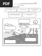 Water Cycle: Importance for 5th Grade | PDF | Water Cycle | Evaporation