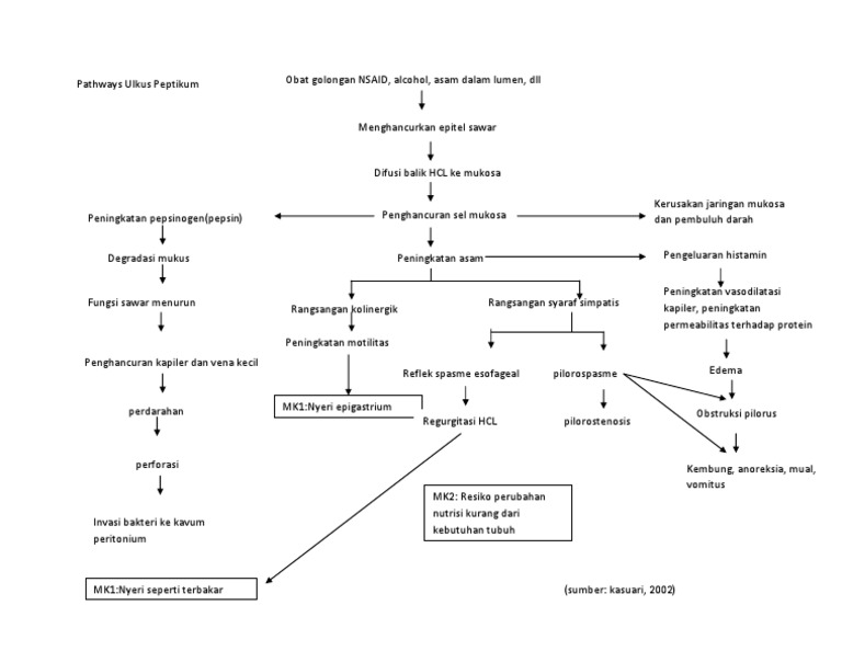 Pathways Ulkus Peptikum | PDF