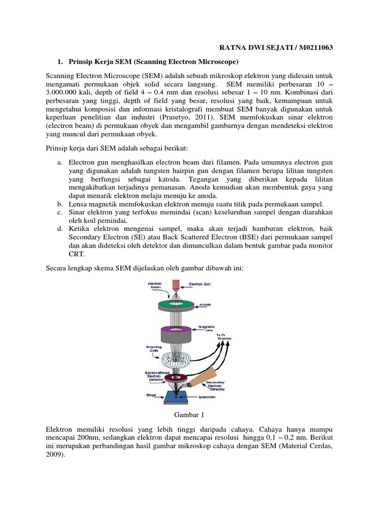 Ratna Dwi Sejati - m0211063 | PDF | Sains & Matematika
