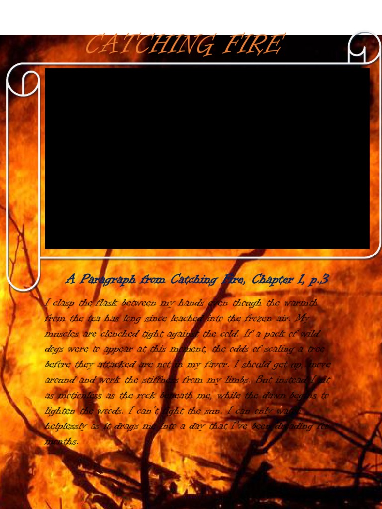 Catching Fire: Chapter 1 Excerpt | PDF