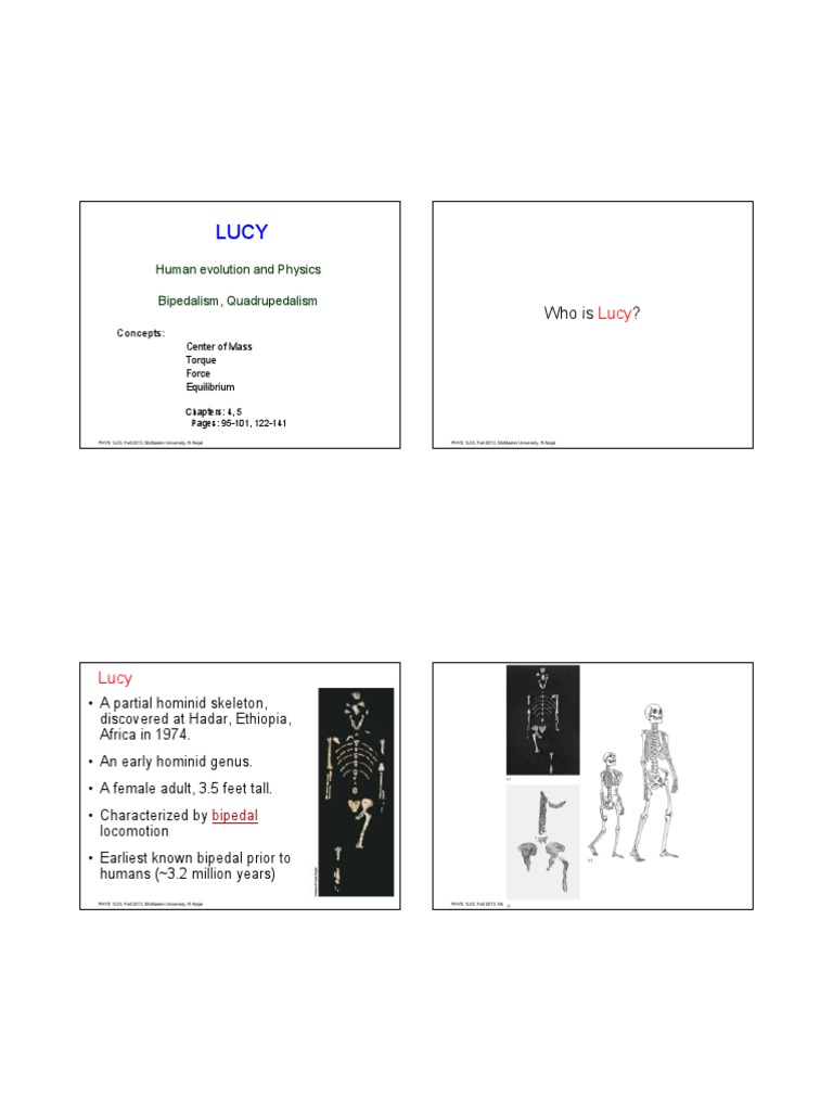 Human Evolution and Physics Bipedalism, Quadrupedalism: Who Is ? | PDF ...