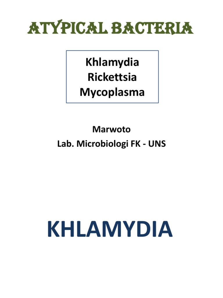 Atypical Bacteria Overview | PDF