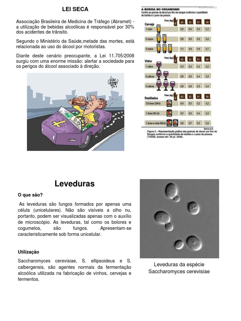 Cartaz - Lei Seca | PDF