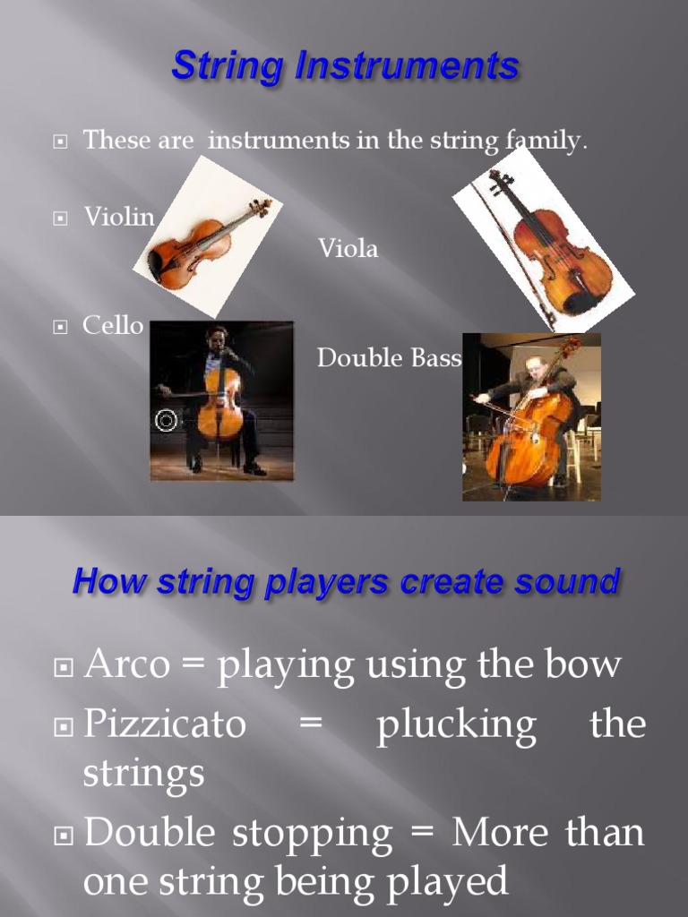 These Are Instruments in The String Family. Violin Viola Cello Double ...