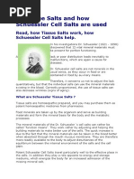 12 Tissue Salts and How Schuessler Cell Salts Are Used | PDF | Tissue ...