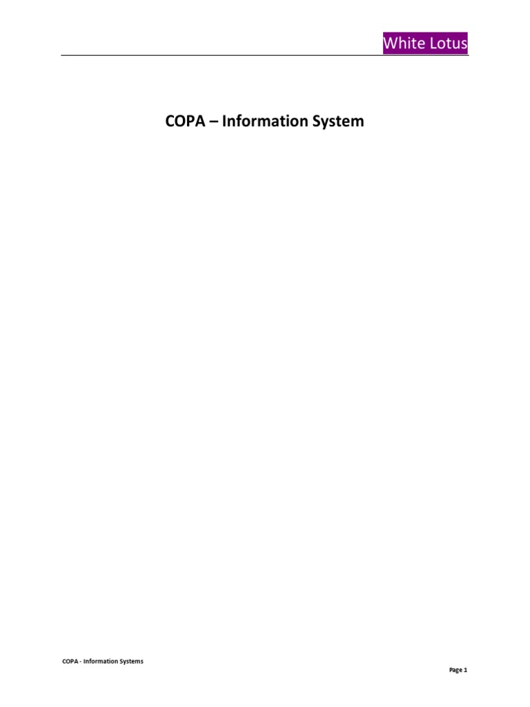 COPA Information Systems | PDF | Data Warehouse | Databases