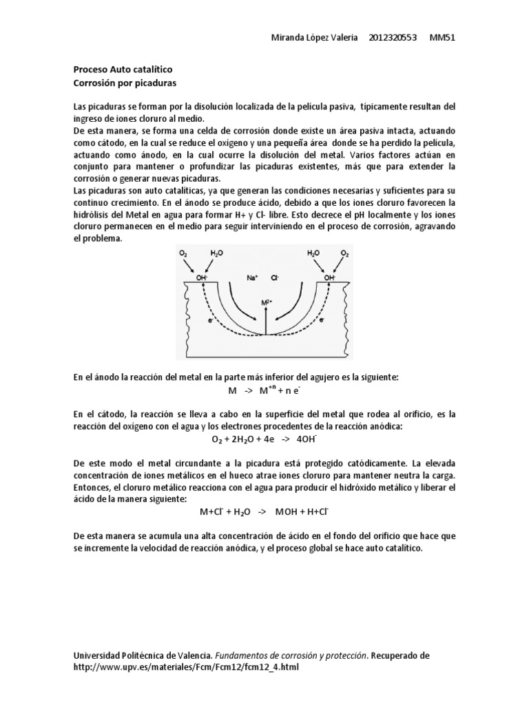 Proceso Autocatalitico | PDF