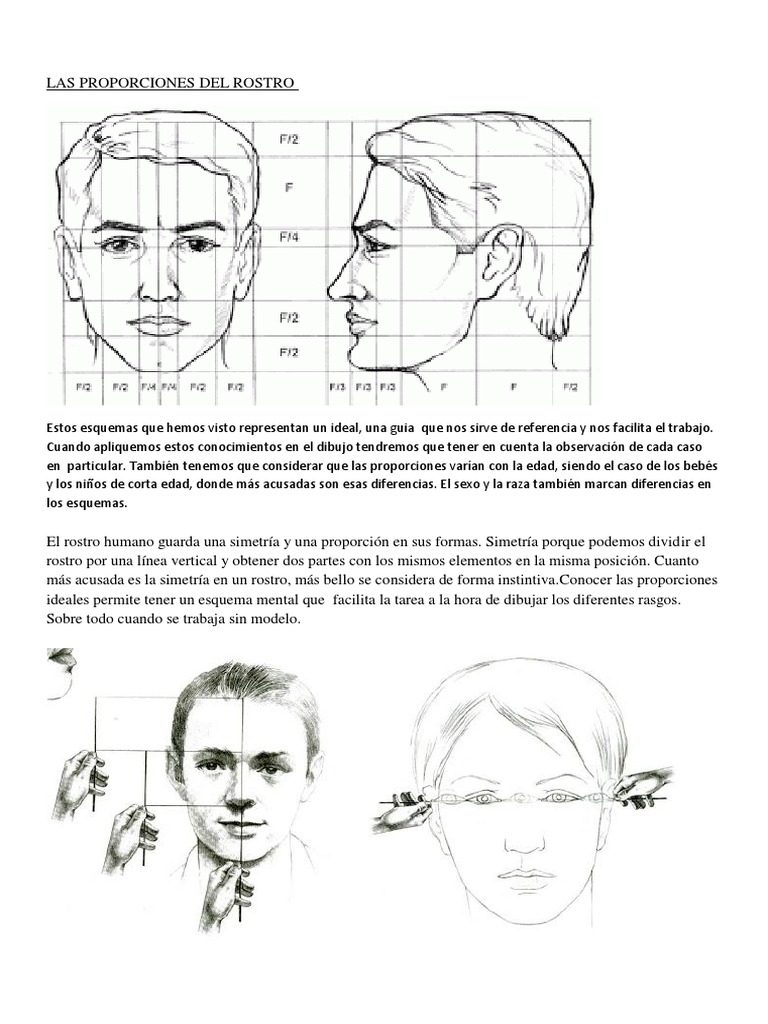 Las Proporciones Del Rostro | PDF | Pintura de retrato | Dibujo