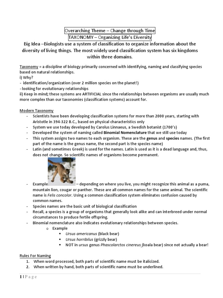 Taxonomy: Organizing Life's Diversity | PDF | Taxonomy (Biology) | Cell ...