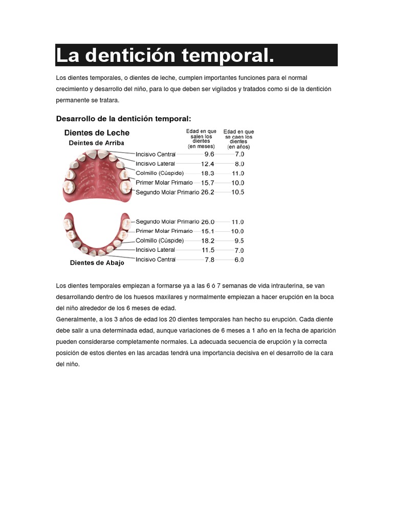 La Dentición Temporal | Descargar gratis PDF | Diente humano | Odontología