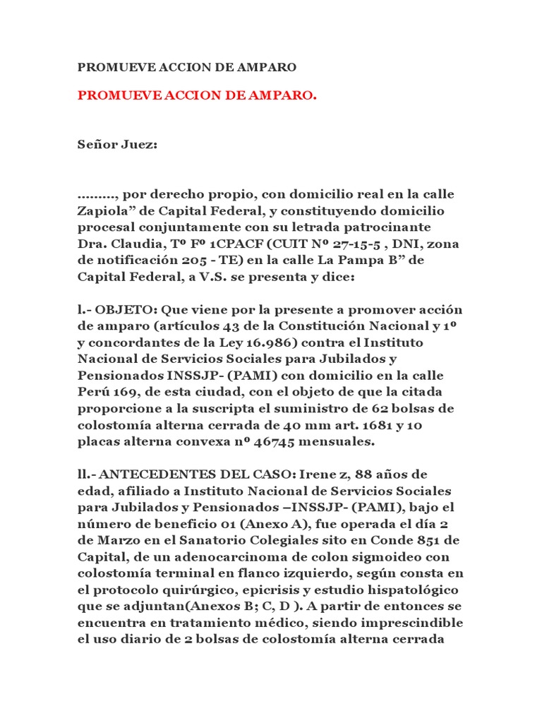 Modelo de Recurso de Amparo | Case Law | Injunction