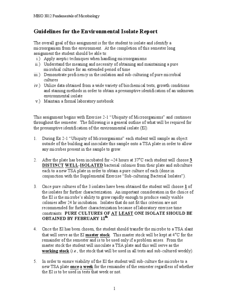 MBIO 3812 Environmental Isolate Report | Download Free PDF | Life ...