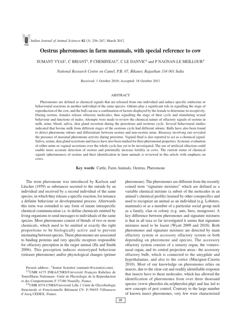 Oestrus Pheromones in Farm Animals With Special Reference To Cows | PDF ...