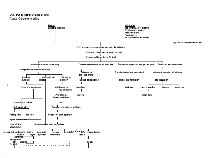 AGE Pathophysiology | PDF | Gastrointestinal Tract | Digestion