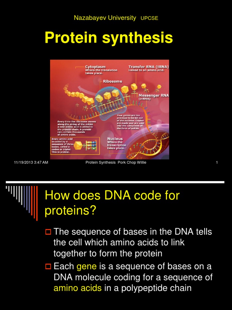 Overview of Protein Synthesis Process | PDF | Translation (Biology ...