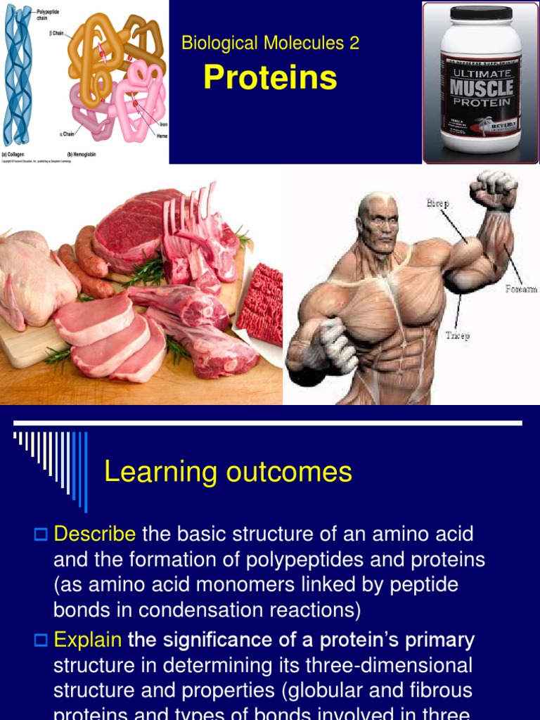 Protein Structure and Functions | PDF | Biomolecules | Proteins