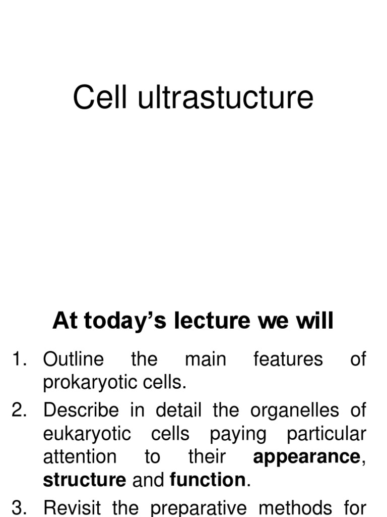 Eukaryotic Cell Ultrastructure Overview | PDF | Cell Nucleus | Cell ...