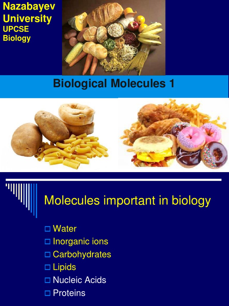Key Biological Molecules Overview | PDF | Properties Of Water | Fat