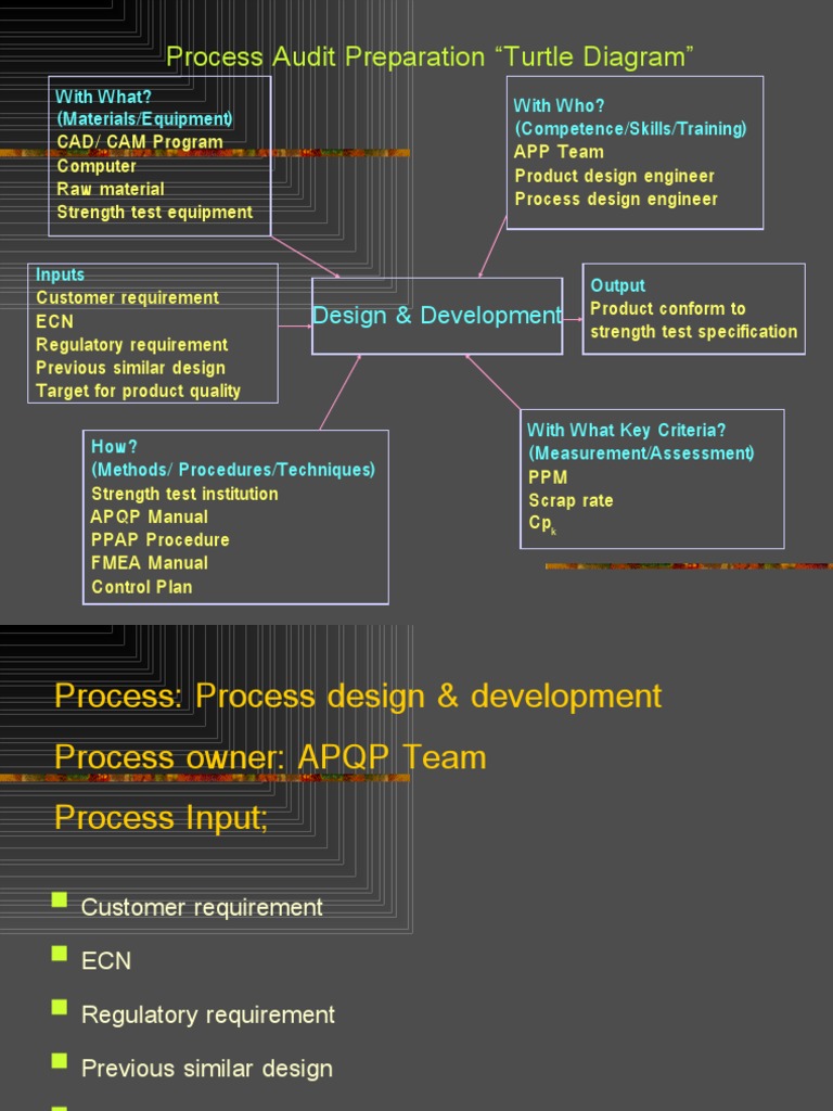 Process Audit Preparation "Turtle Diagram": Design & Development | PDF ...