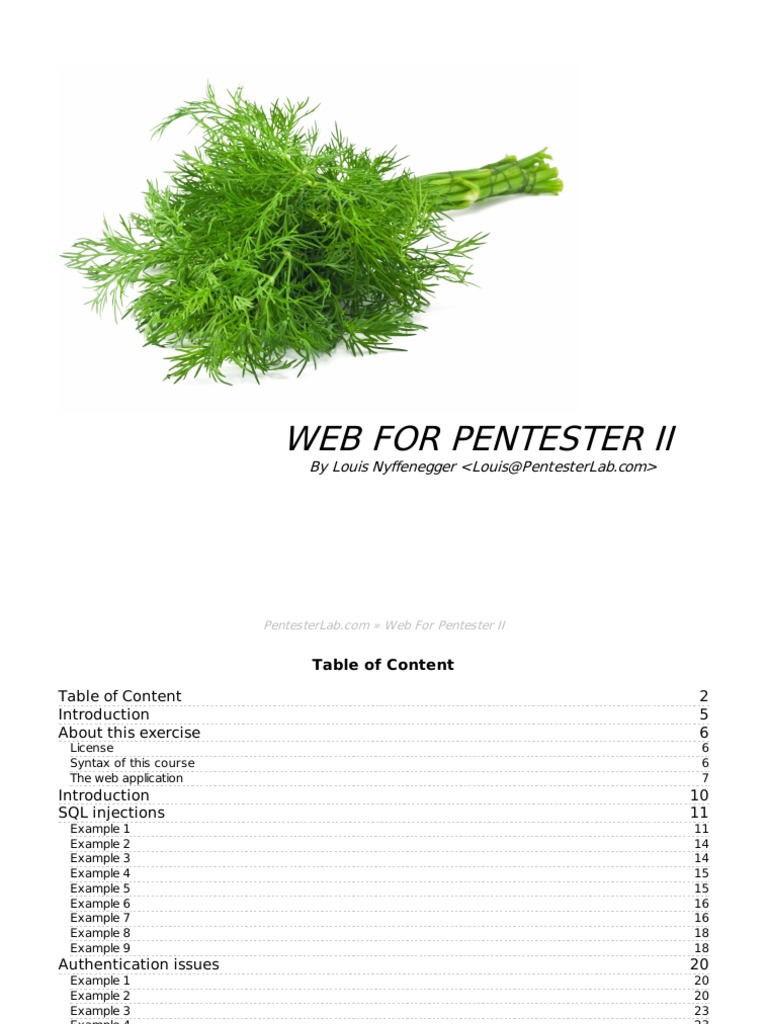 Web For Pentester II | PDF | Password | Penetration Test