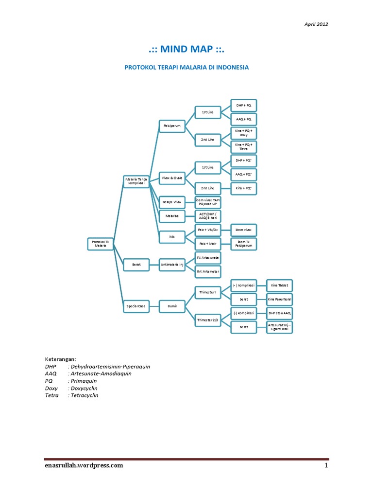 Protokol Terapi Malaria | PDF | Pengembangan Diri | Kesehatan Holistik