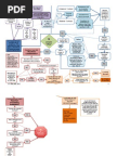 Supplemental Jurisdiction Flow Chart
