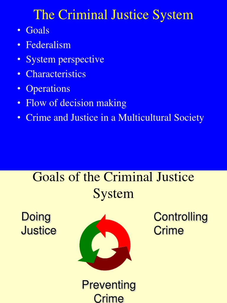 Goal of Criminal Justice System | PDF | Criminal Justice | Crime & Violence