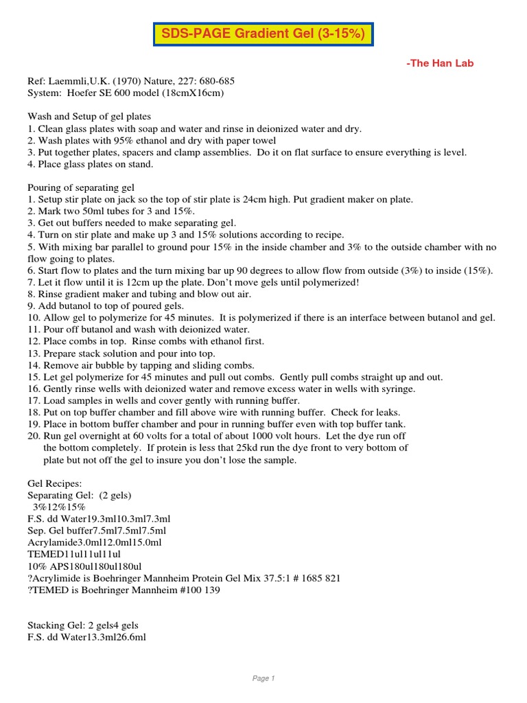SDS-PAGE Gradient Gel 3-15% | PDF | Polyacrylamide Gel Electrophoresis ...
