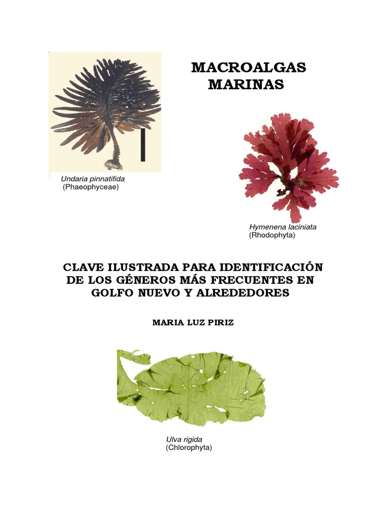 Macro Algas | PDF