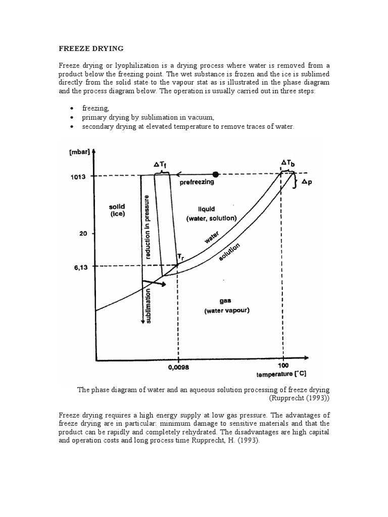 Lecture 4. Supplementary Material - Freeze Drying | PDF | Freeze Drying | Freezing