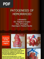 Anatomy and Pathophysiology of Hemorrhoids | PDF | Hemorrhoid | Blood ...