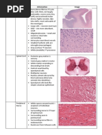 Sorenson Atlas of Human Histology Chapter 1 PDF | PDF | Staining ...