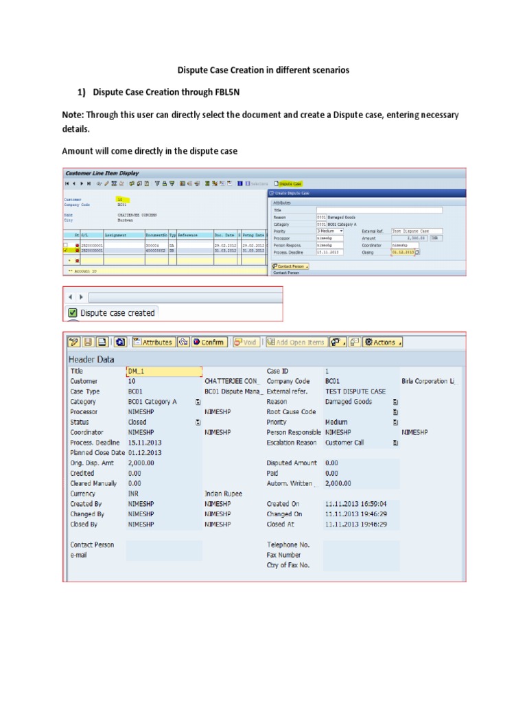 Dispute Case Creation-SAP | PDF