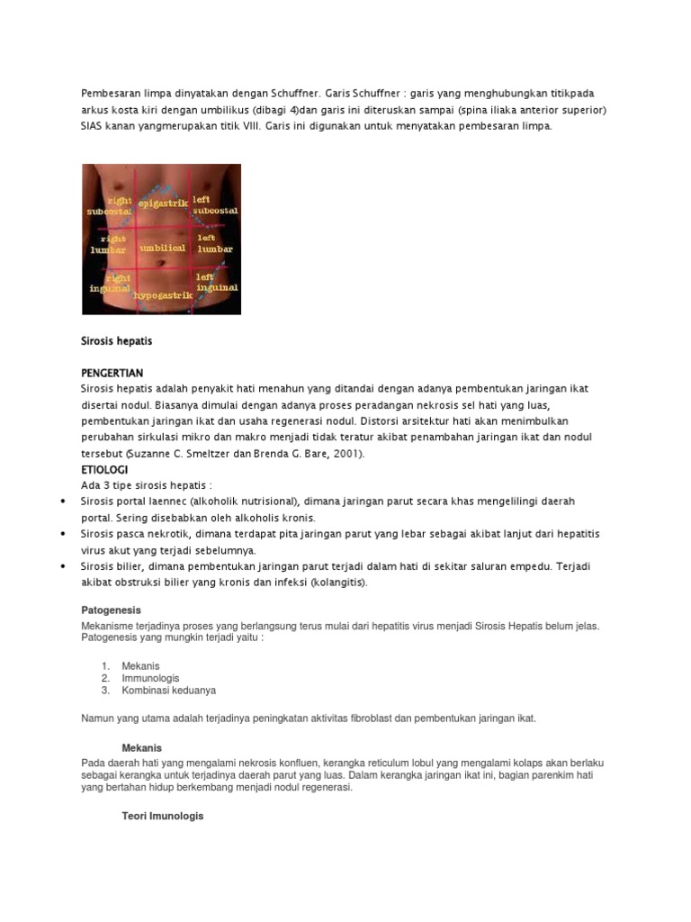 Tugas Sirosis Dan Schuffner | PDF