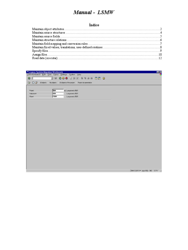 LSMW Manual: Step-by-Step Guide | PDF | Finance & Money Management | Computers