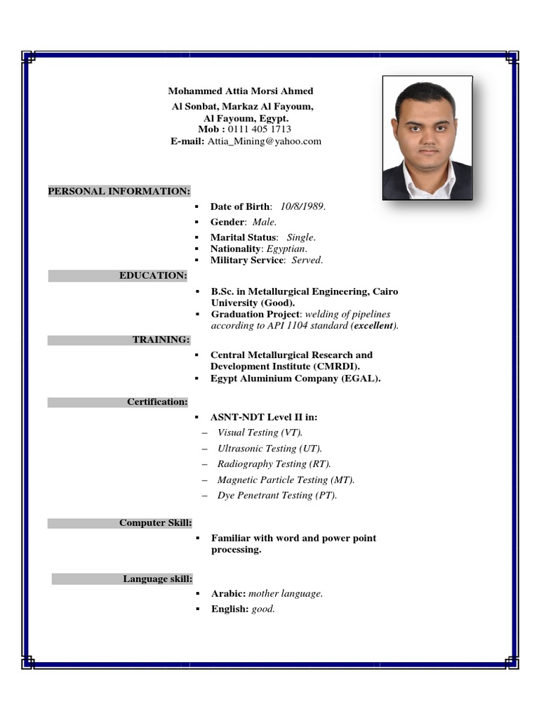 Metallurgical Engineer Resume Summary | PDF