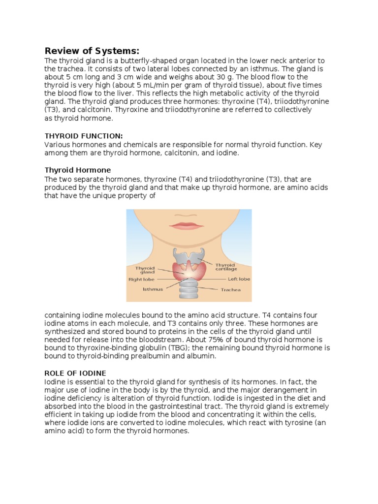 Thyroid Gland Review of Systems | PDF | Thyroid | Hypothyroidism
