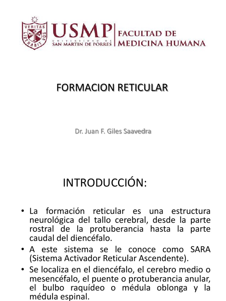 Formación Reticular Y Sistema Límbico Pdf Sistema Límbico Hipocampo