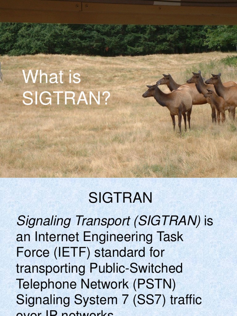 What is SIGTRAN? Transporting SS7 over IP | PDF