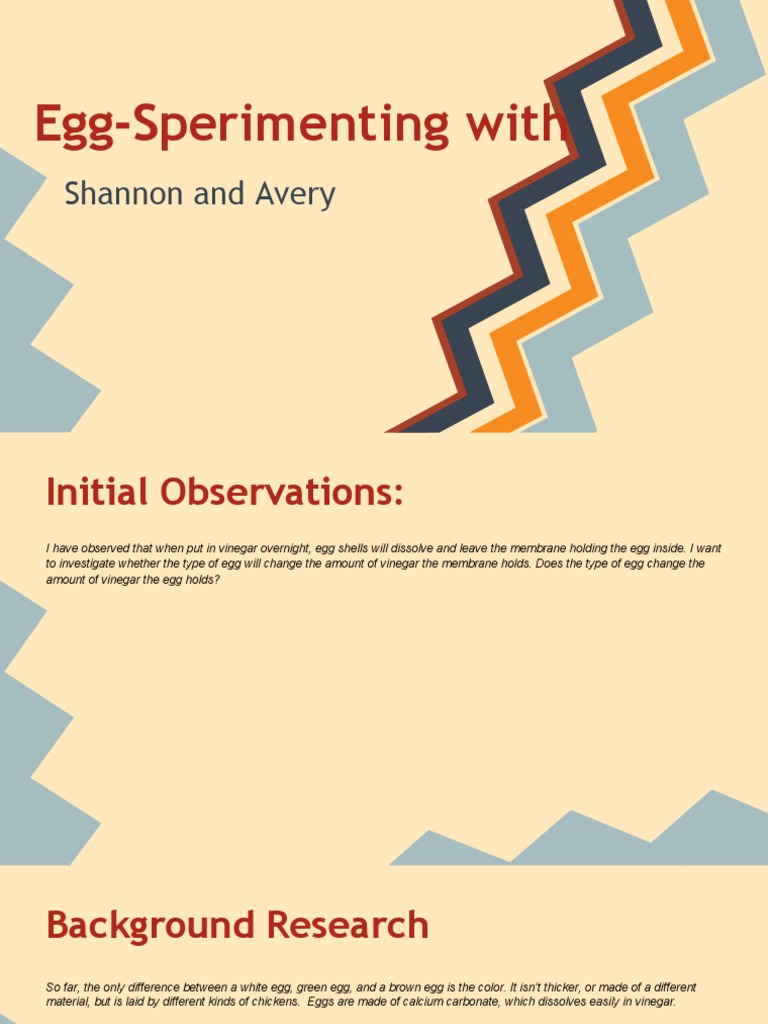 Egg-Speriment Presentation | PDF | Egg | Experiment