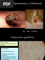 AZOADOS | PDF | Ciencia y matemática