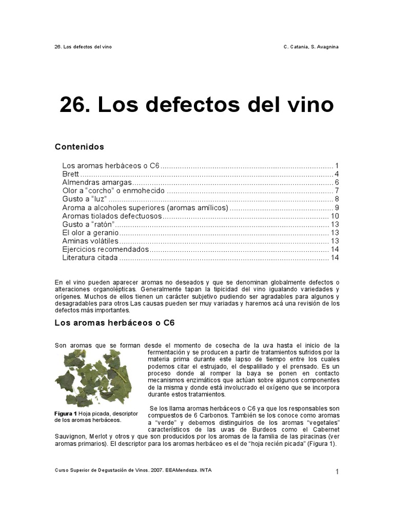 Los Defectos Del Vino | PDF